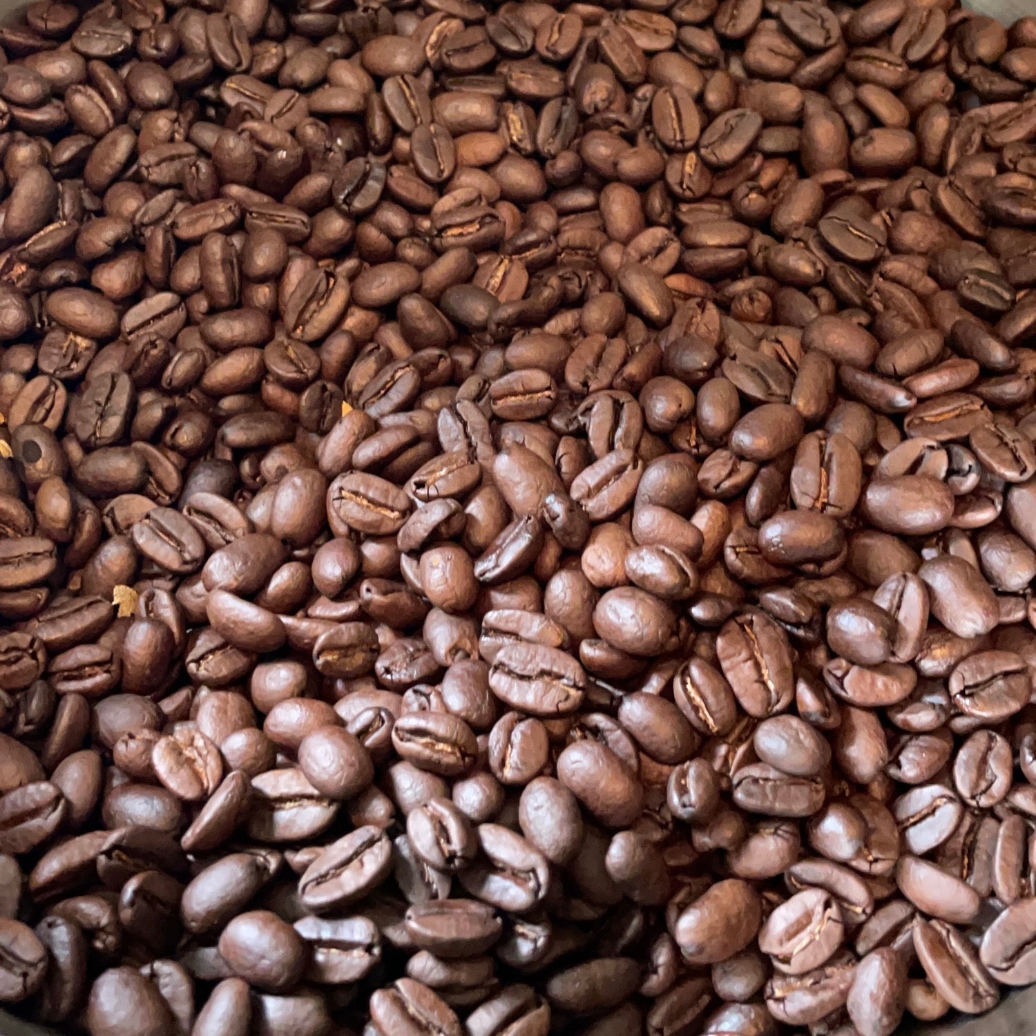 Fresh Roasted Coffee Blends To Meet Any Coffee Preference. – Sojos Coffee